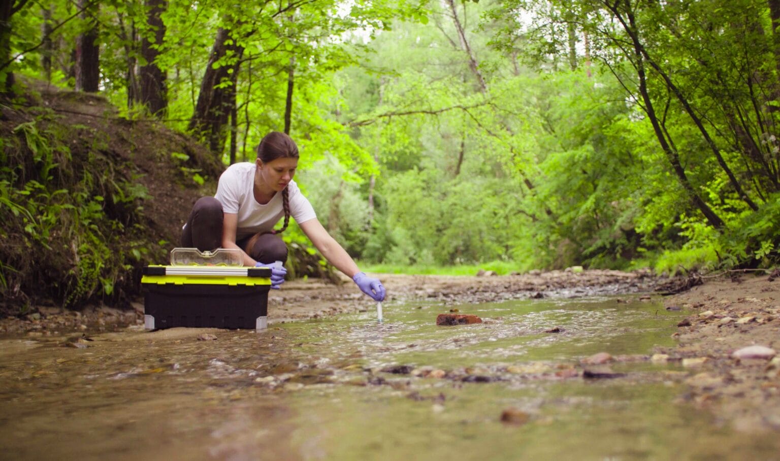 PrimePay Demo | Explore Our Payroll & HR Solutions